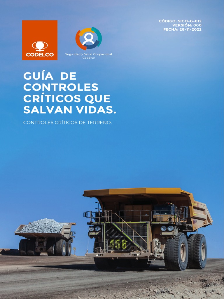 Guia Controles Criticos y Riesgos Operacionales | PDF | Electricista ...