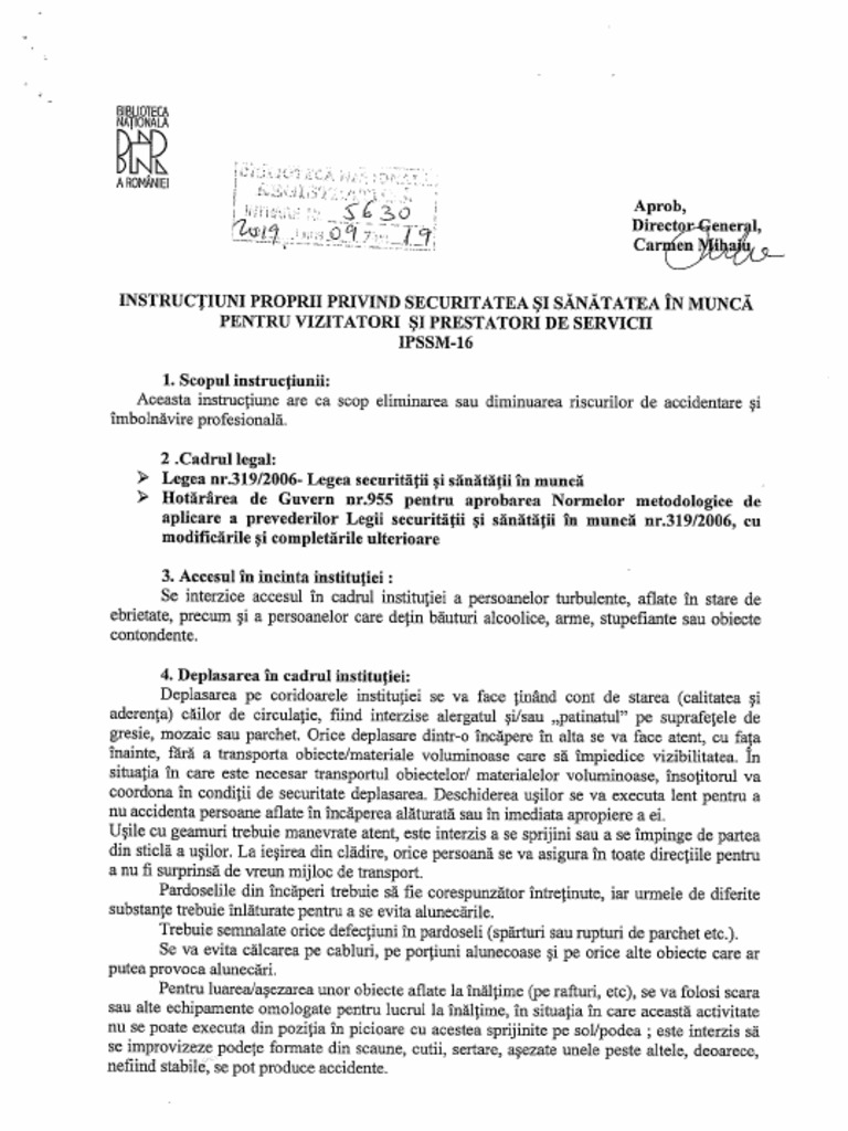 Instructiuni SSM | PDF