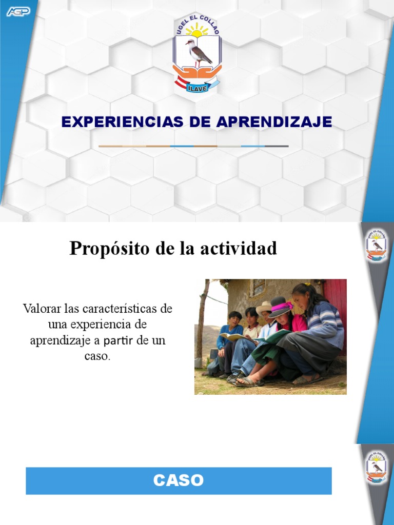 Experiencia de Aprendizaje 2022 | PDF | Evaluación | Aprendizaje