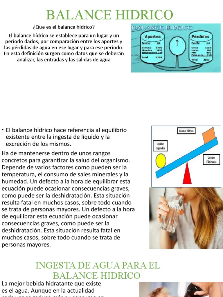 BALANCE HIDRICO Fundamentos | PDF | Agua | Sodio