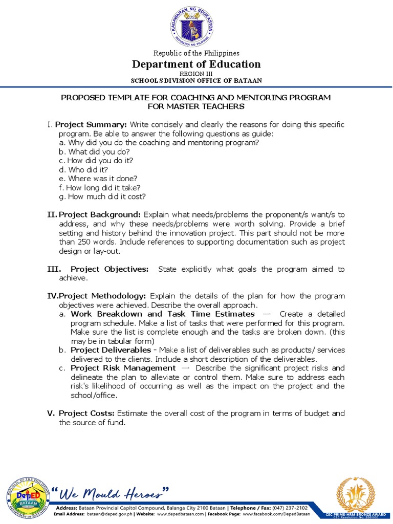 Template For Coaching and Mentoring Program For MTs | PDF