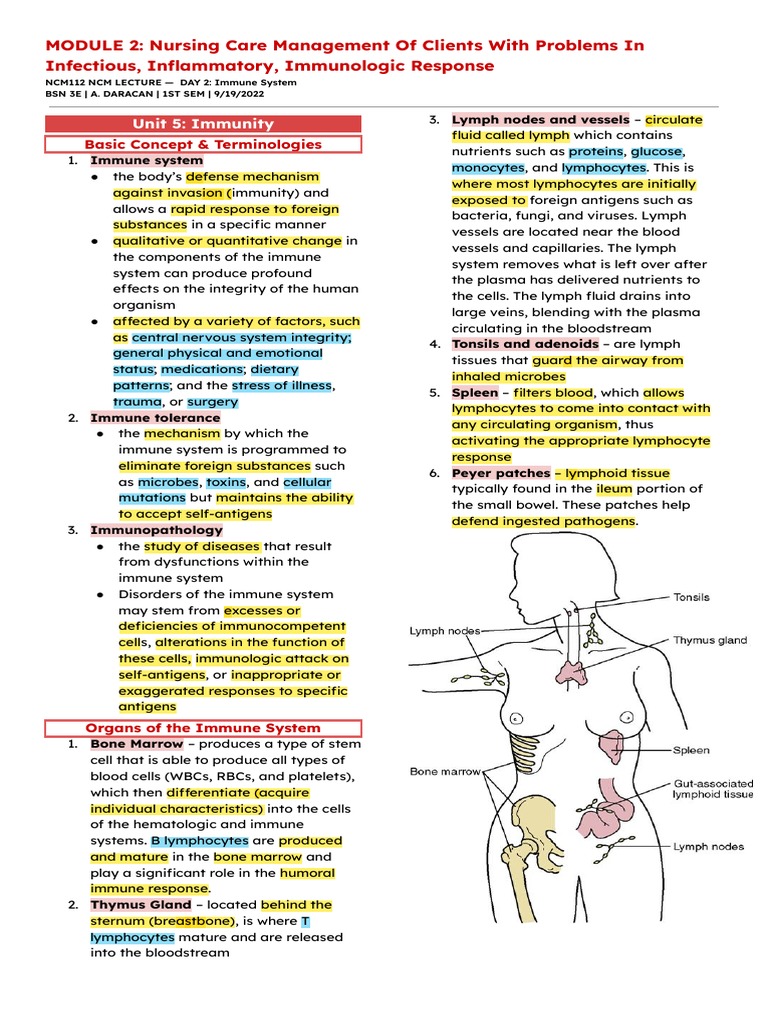 NCM112 Module 2 Day 2 Immune System | PDF | Immune System | Lymphocyte