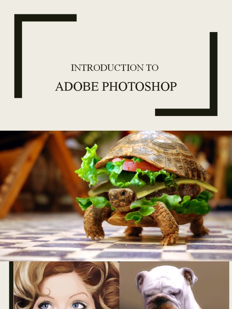 Introduction To: Adobe Photoshop | PDF | Adobe Photoshop | Image Editing
