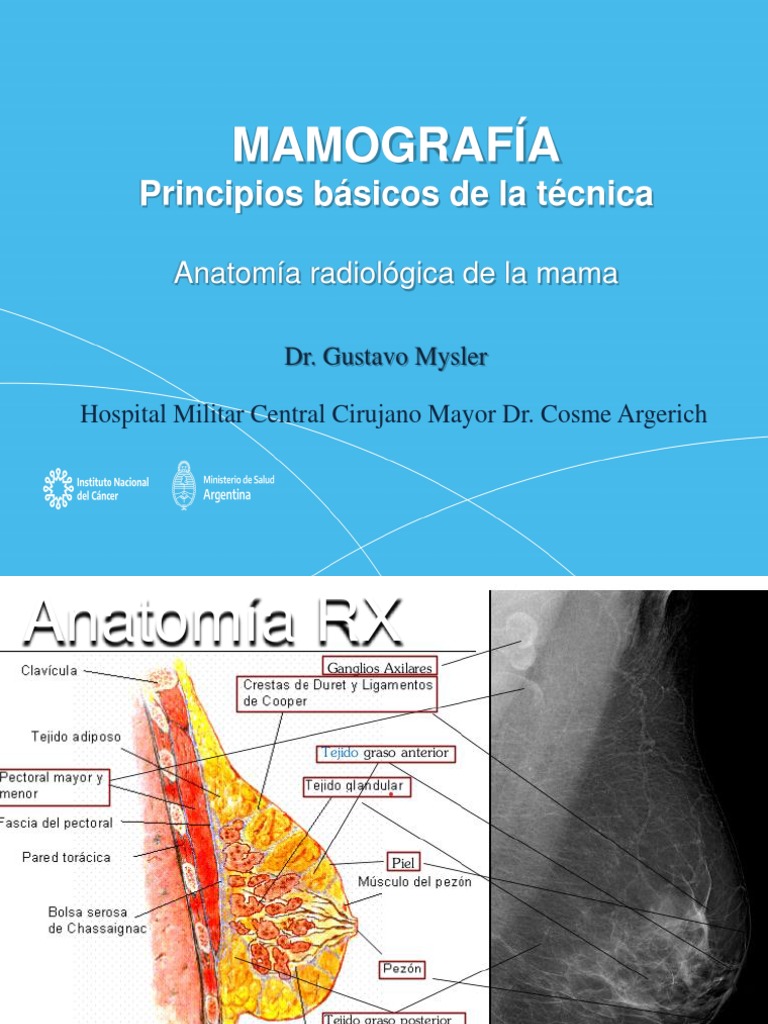 Clase 3 Anatomia MX - Dr. Mysler | PDF | Medicina | Morfología (biología)