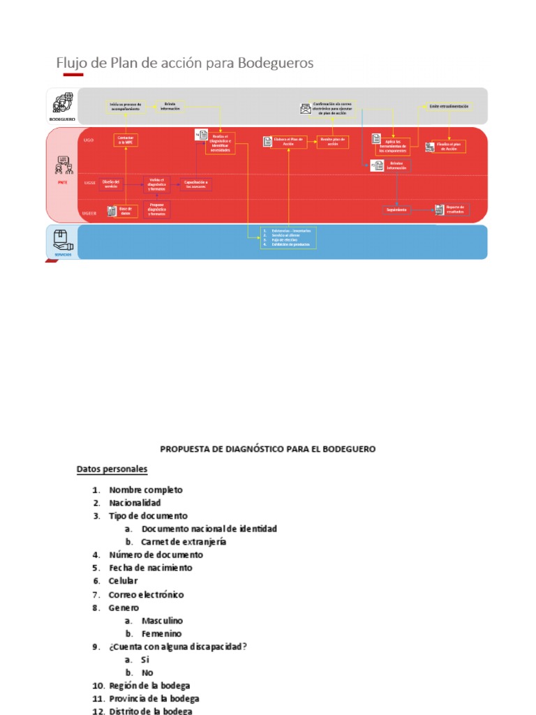 Formatos para El Plan de Acción Del Bodeguero | PDF