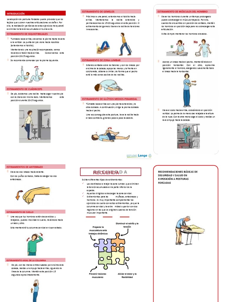 TRIP Recomendaciones para Posturas Forzadas | PDF | Rodilla | Sistema musculoesquelético
