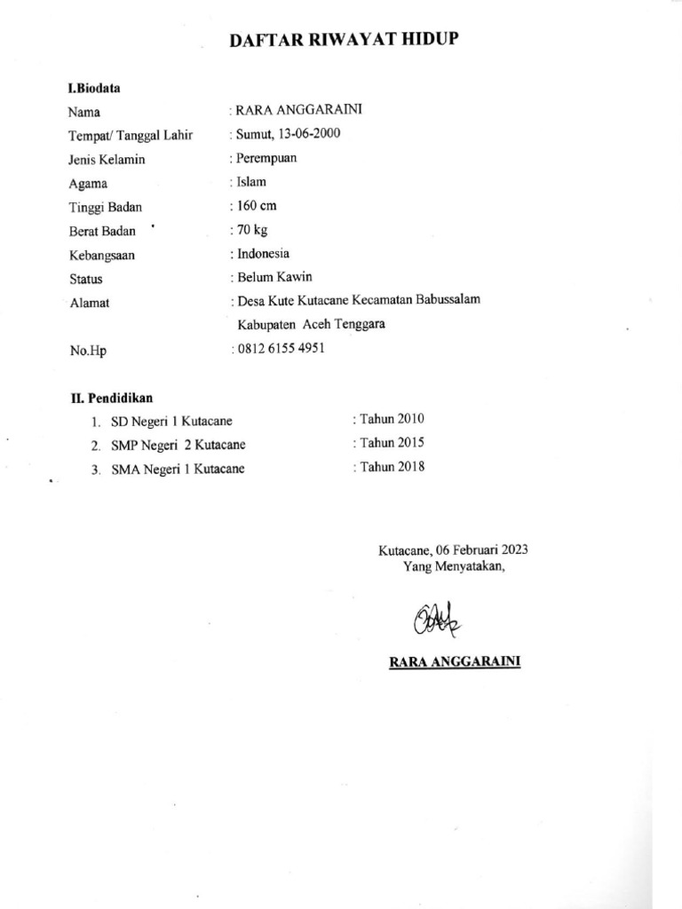 CV PDF