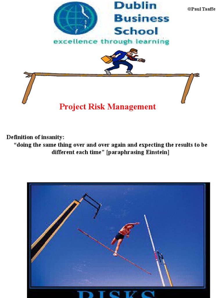 Project Risk Management | PDF | Risk | Risk Management