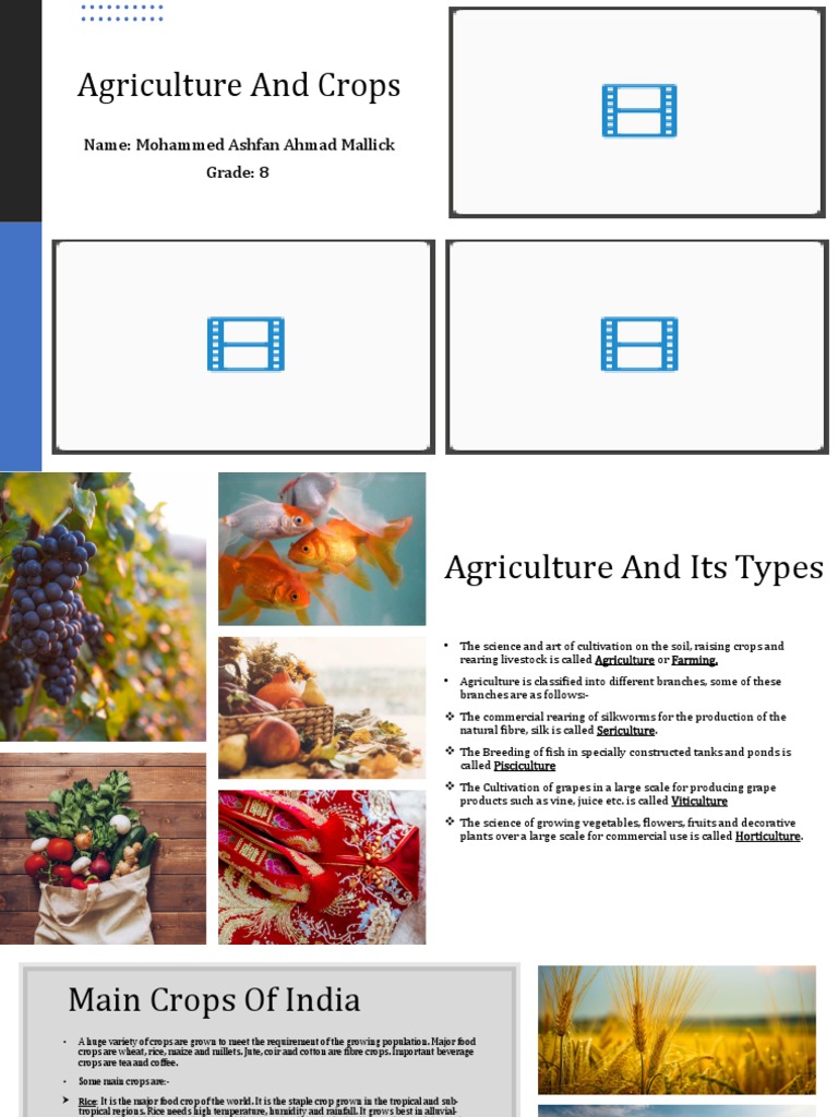 Agriculture and Crops - SST Project Base Learning | PDF | Agriculture ...