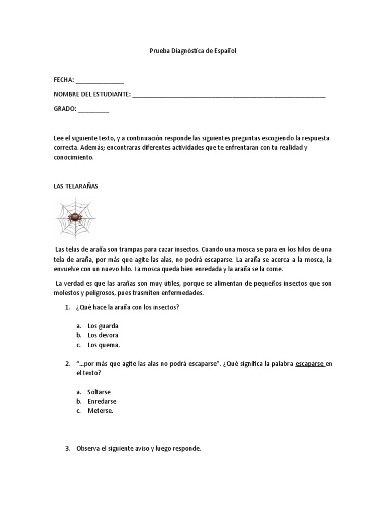 Prueba Diagnóstica de Español 3° Grado | PDF