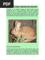 El Ciclo de Vida Del Conejo | PDF