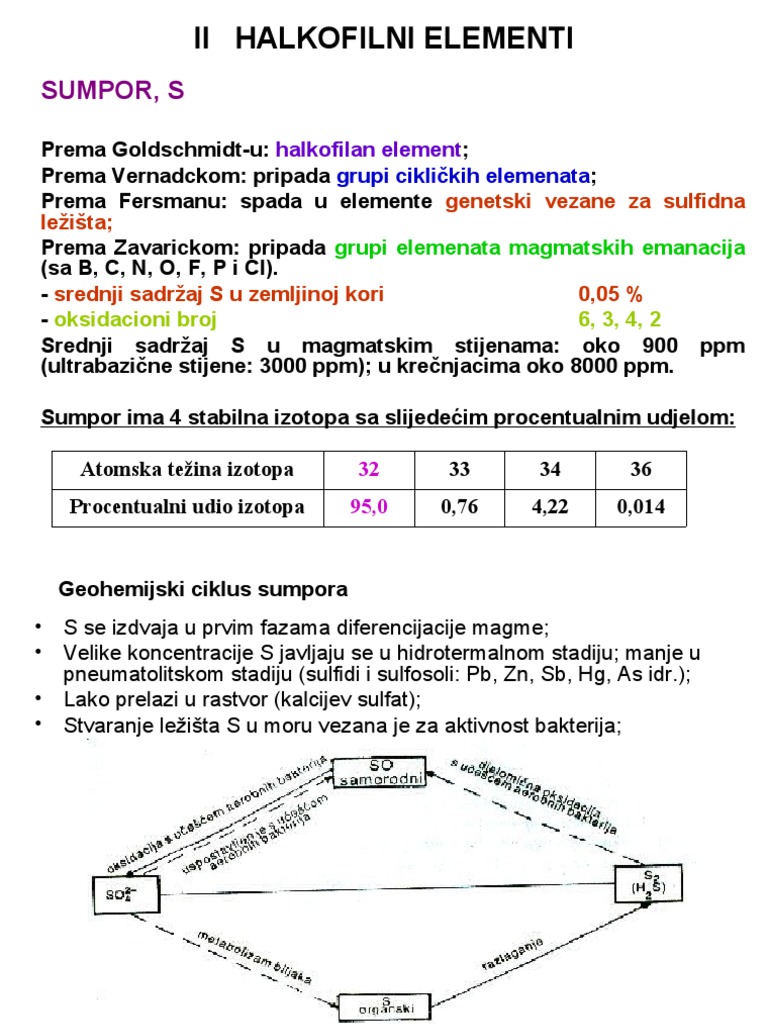 8.halkofilni Elementi | PDF