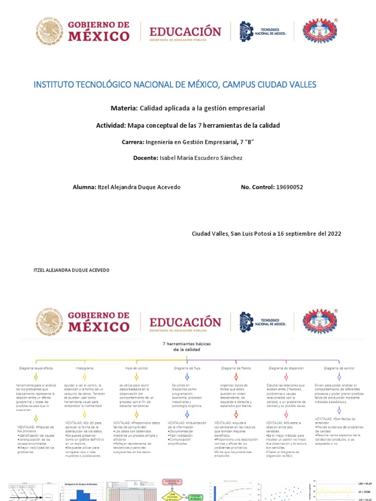 Mapa Conceptual de Las 7 Herramientas de La Calidad - IADA | PDF