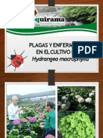 Ficha Tec Rescate 20 PS 2021 | PDF | Insectos