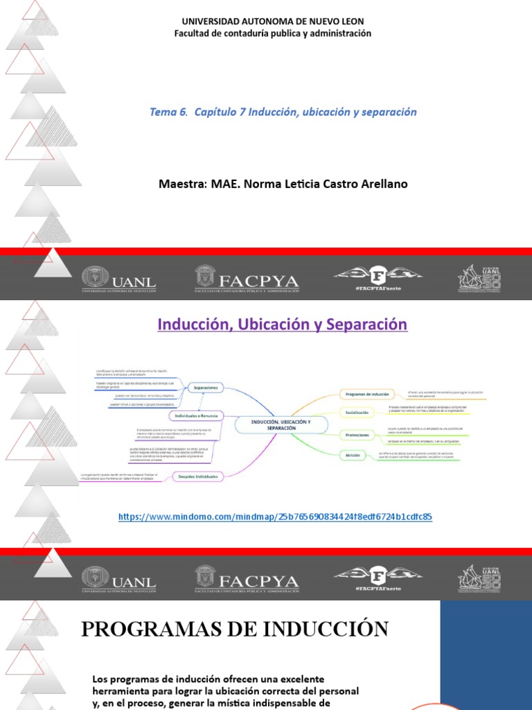 TEMA 6. CAPITULO 7 Inducción, Ubicación y Separación | PDF | Razonamiento inductivo | Disciplinas
