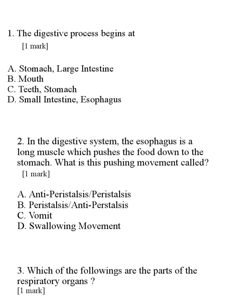 Digestive and Respiratory System Quiz | PDF
