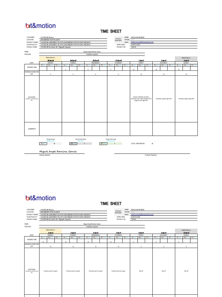 Reporte de Time Sheet | PDF