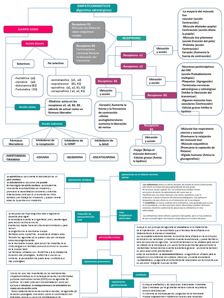 Mapa Simpaticomimeticos y Agonistas Adrenergicos | PDF | Asma | Medicina