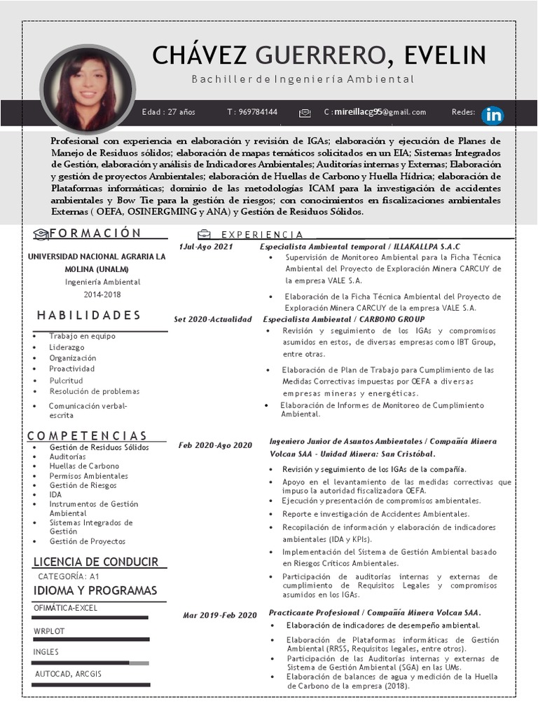 CV - Evelin Chávez Guerrero | PDF | Minería | Evaluación de impacto ambiental