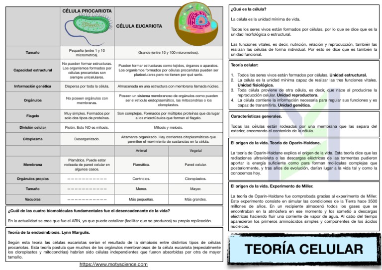 Teoria Celular. - 1 | PDF | Biología Celular) | Organismos