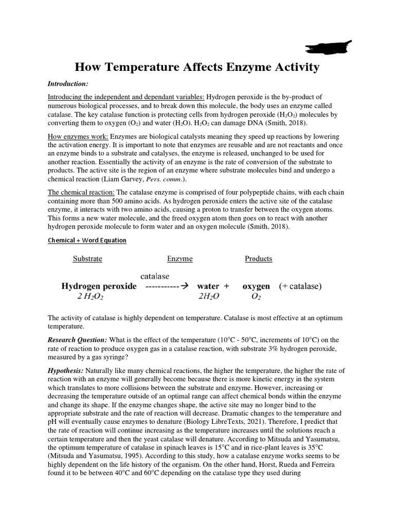 Enzyme Lab Report | PDF | Enzyme | Catalase