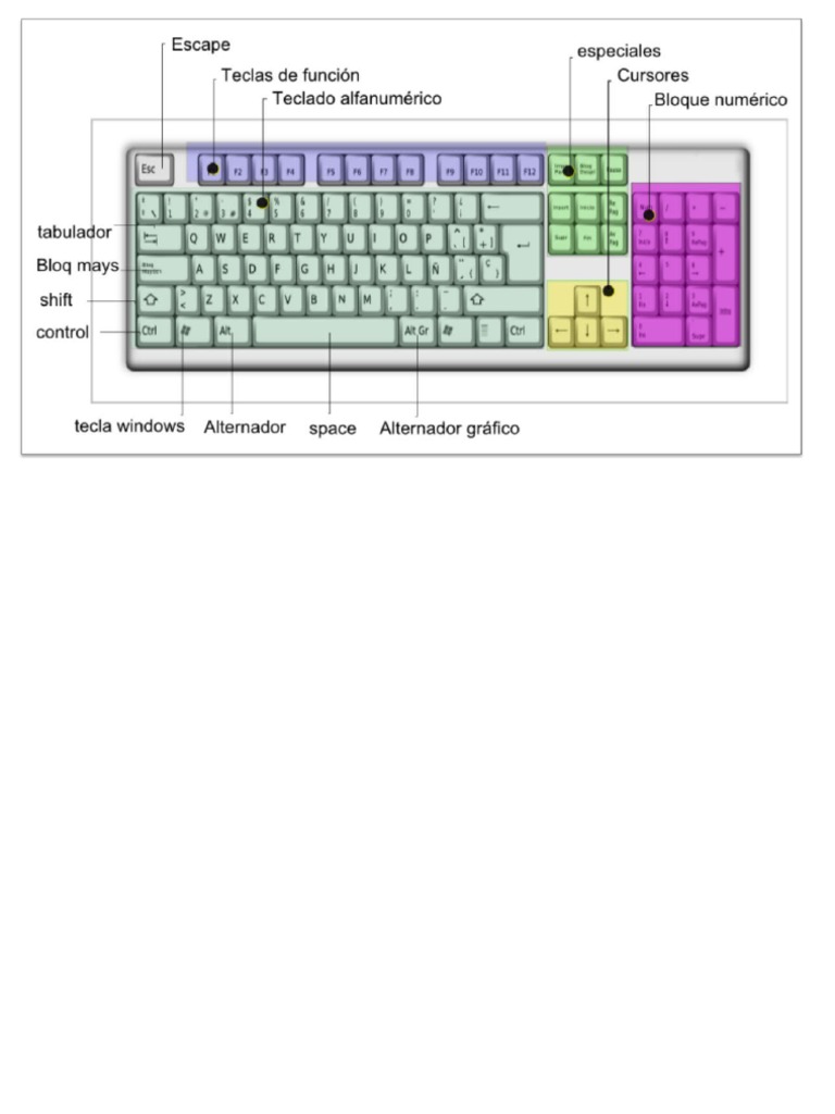 Actividad Teclado | PDF | Teclado | De entrada y salida