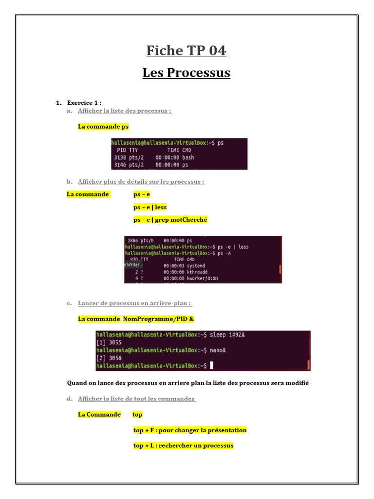 Fiche de TP N 04 Sol | PDF