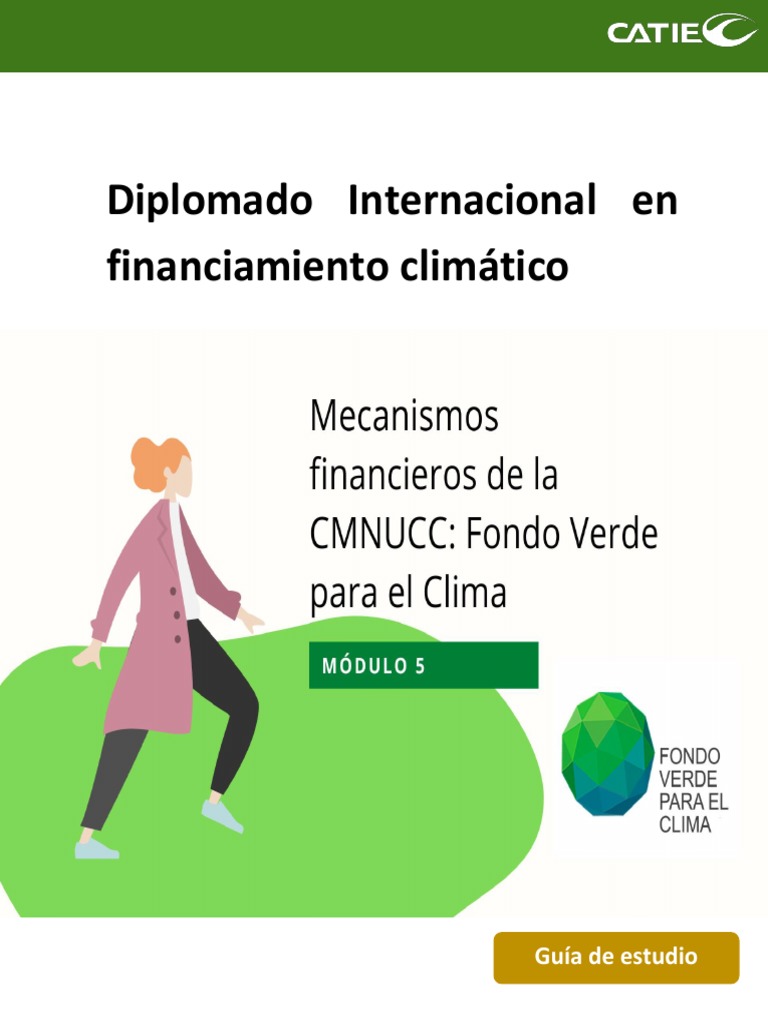 Guía Metodológica - Fondo Verde para El Clima | PDF | Mitigación del ...
