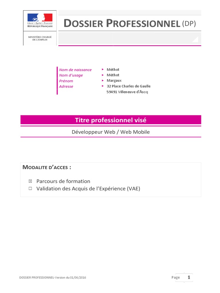 Exemple Dossier Professionnel | PDF | WordPress | Application