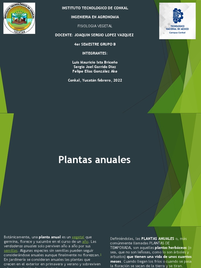 Plantas Anuales Bianuales Final | PDF | Agricultura | Plantas de jardín