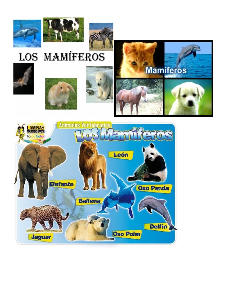 Animales Mamiferos | PDF