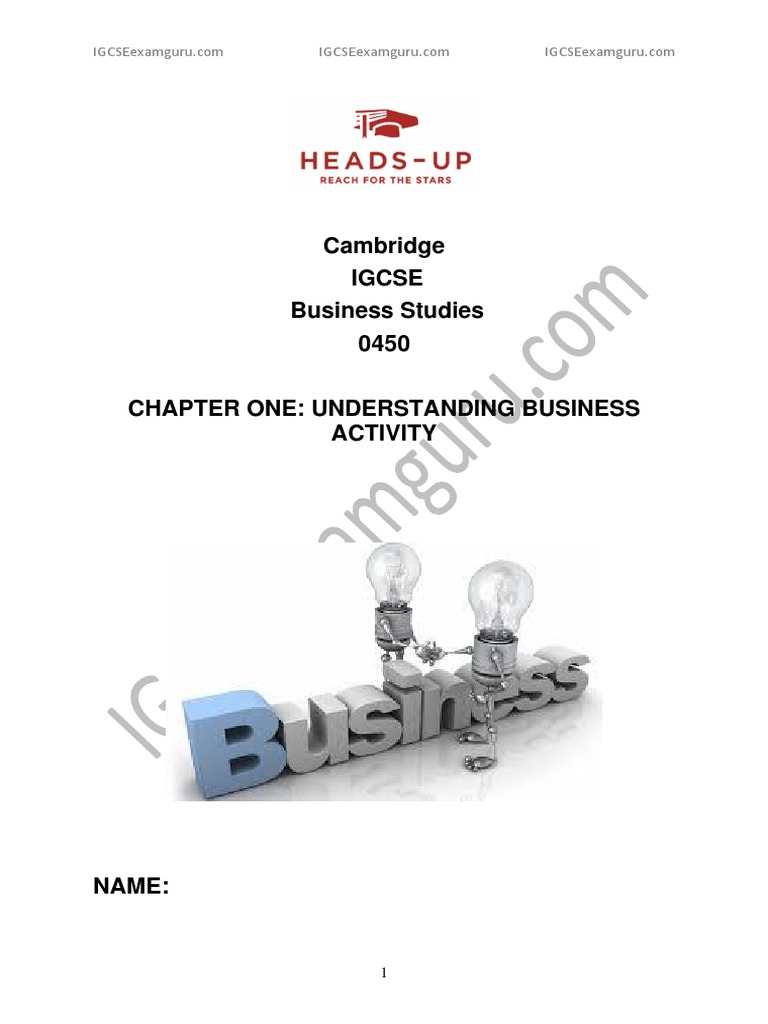 IGCSE Business Studies A - Notes C1 Understanding Business Activity ...