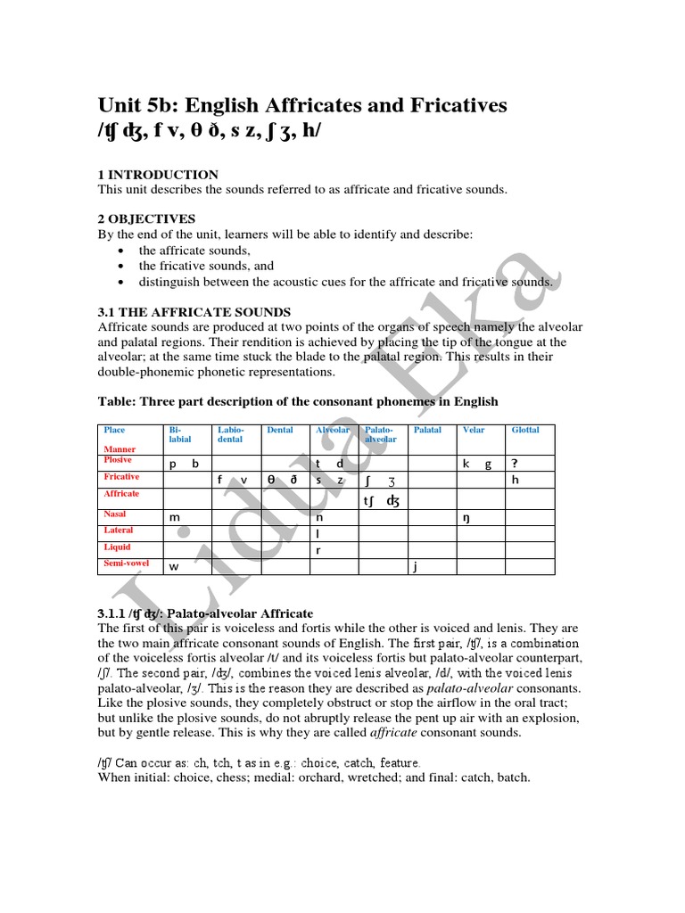 U5b English Affricates Fricatives | PDF | Consonant | Linguistics