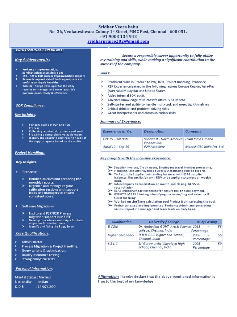 Sridhar Veerababu | Download Free PDF | Computing | Information Technology Management