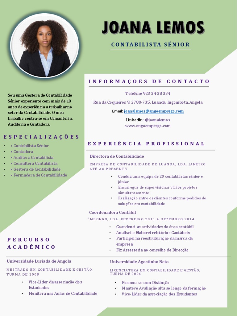 CURRICULUM | PDF | Contabilidade | Contador