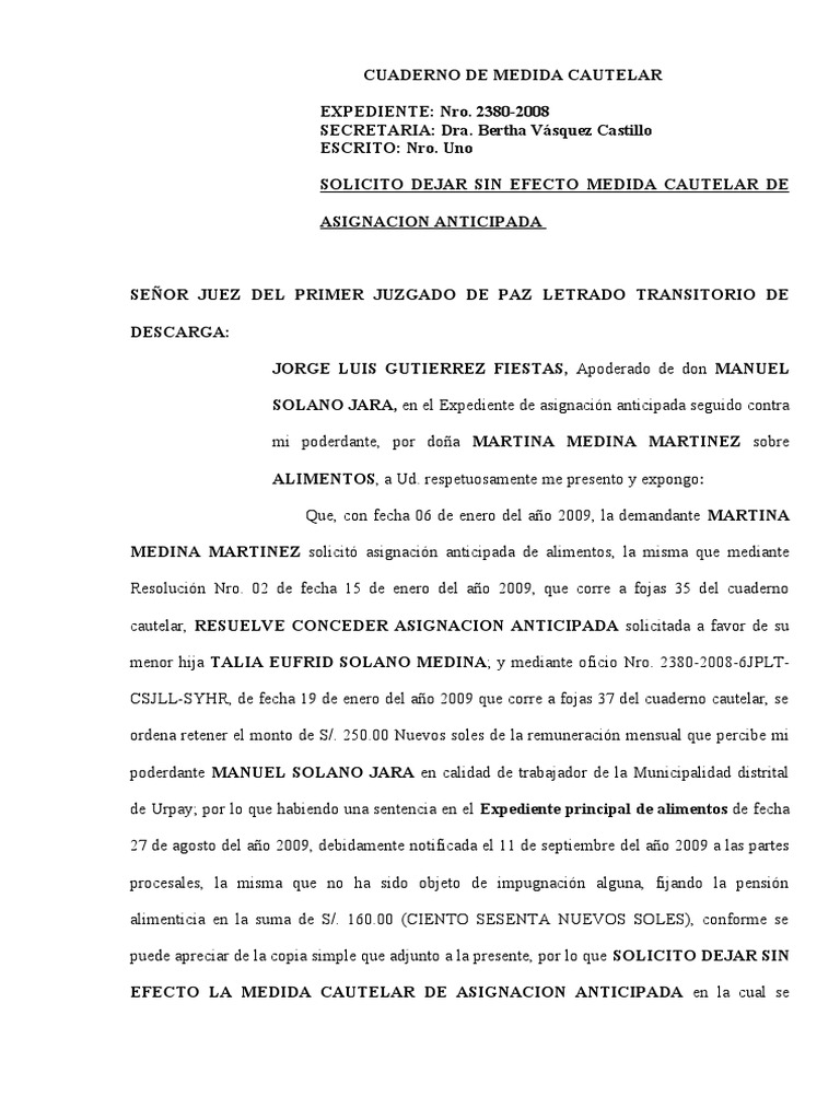 Solicito Dejar Sin Efecto Medida Cautelar | PDF | Instituciones ...