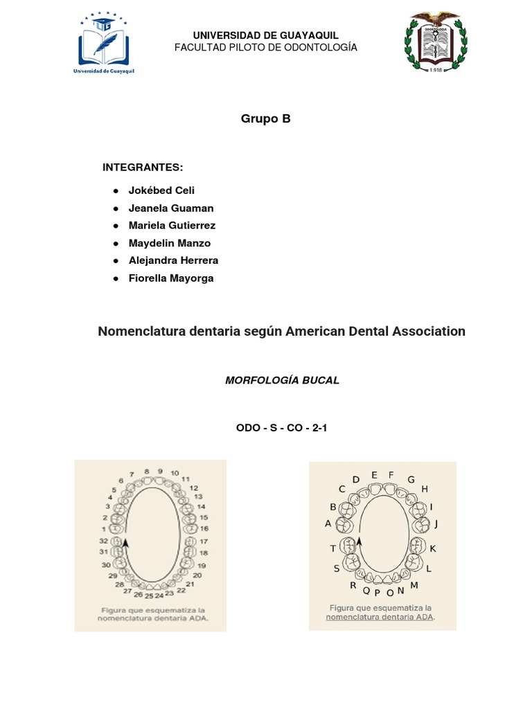 Nomenclatura Ada | PDF | Diente | Odontología