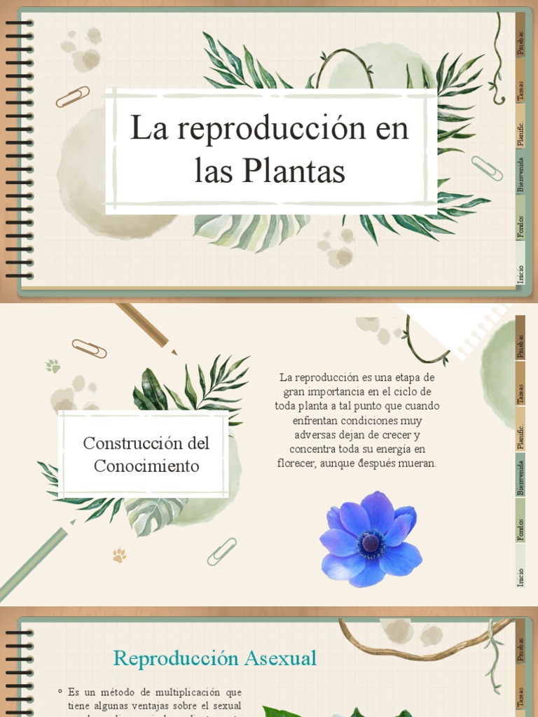 La Reproduccion de Las Plantas | Descargar gratis PDF | Reproducción | Plantas