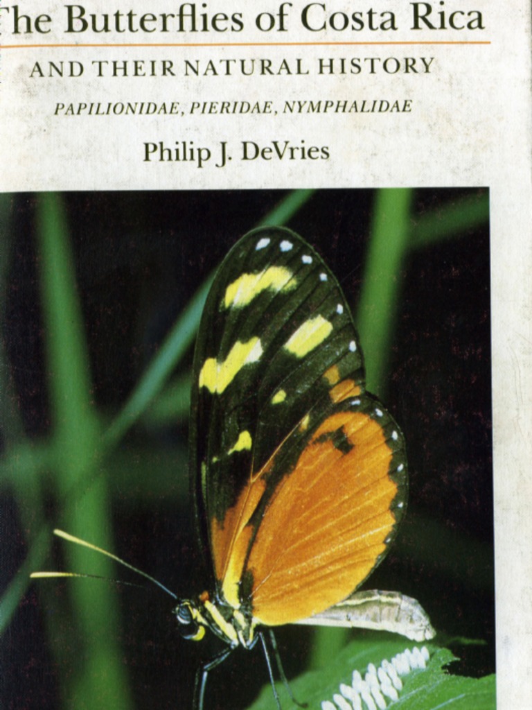 Butterflies of CR Vol.1 | PDF | Insects | Lepidoptera