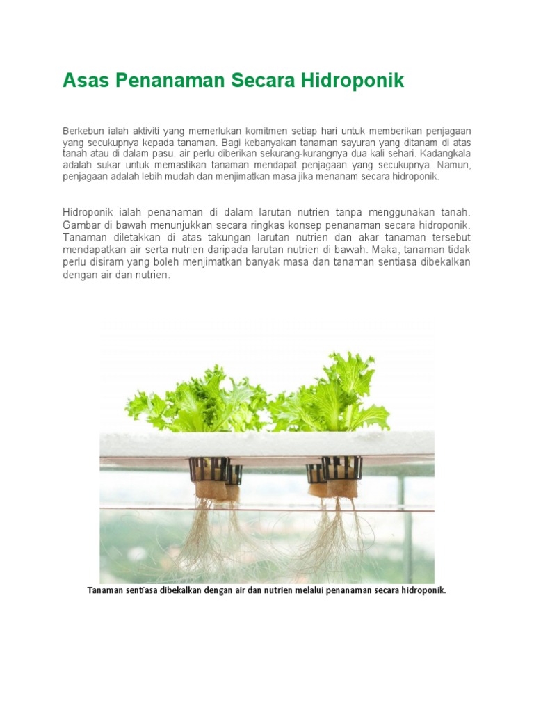 Asas Penanaman Secara Hidroponik | PDF | Sains & Matematika