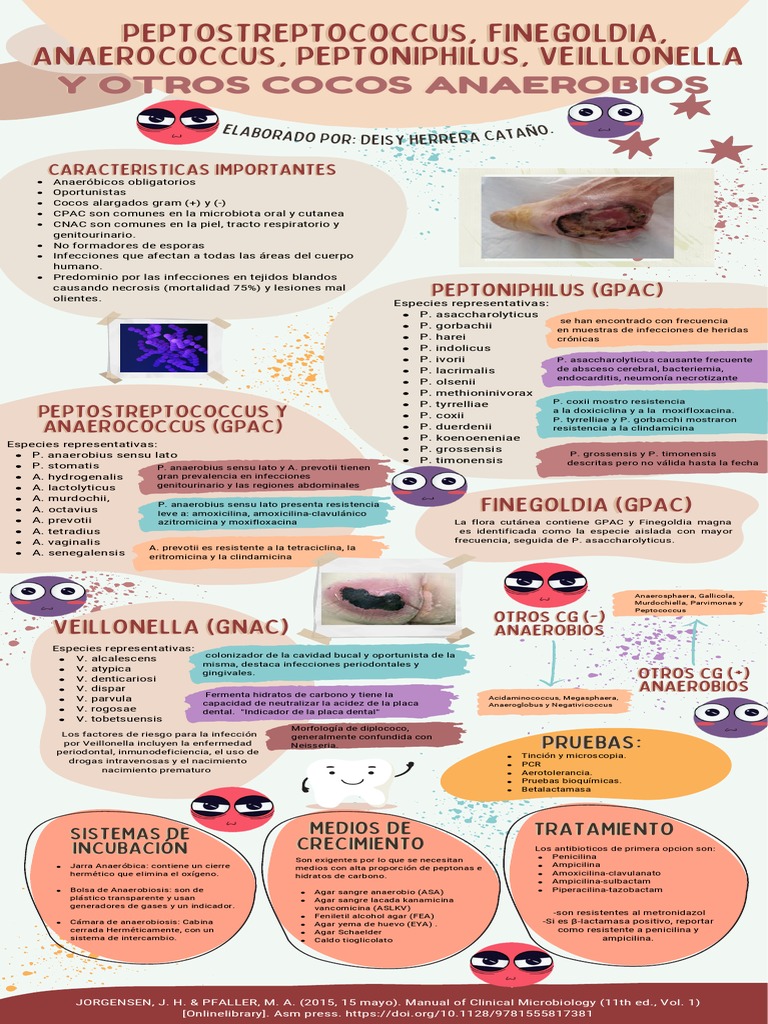 Cocos Anaerobios | PDF | Penicilina | Beta lactamasa