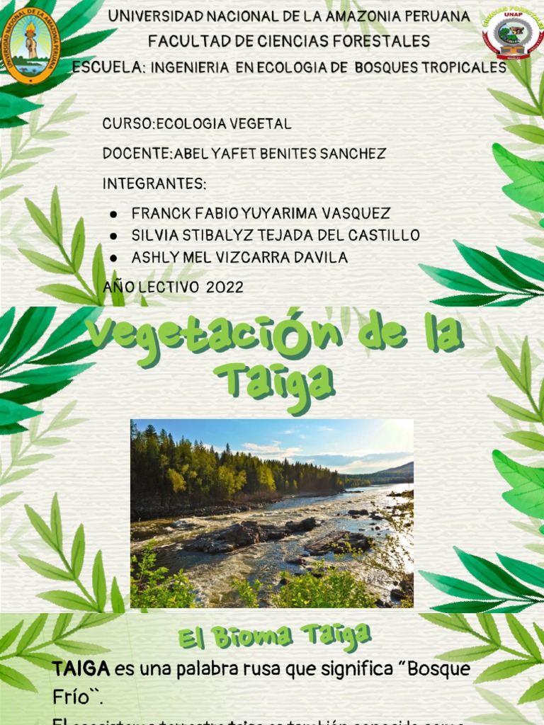 TAIGA | PDF | Biogeografia | Entorno natural