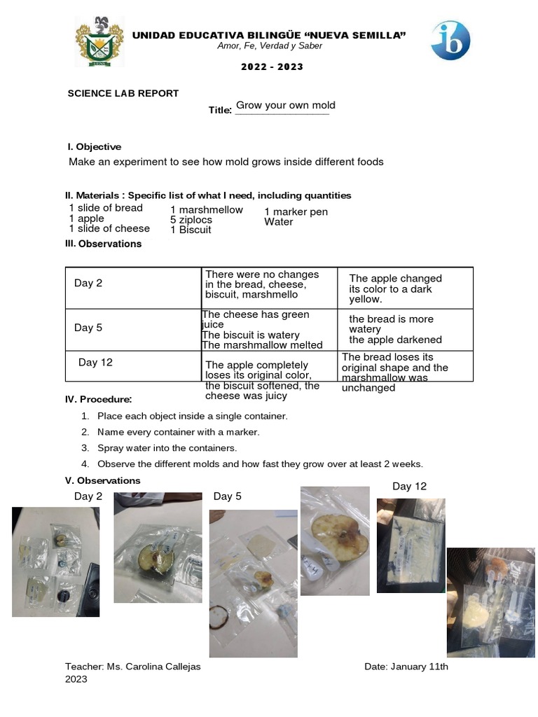 How To Grow Your Own Mold | PDF