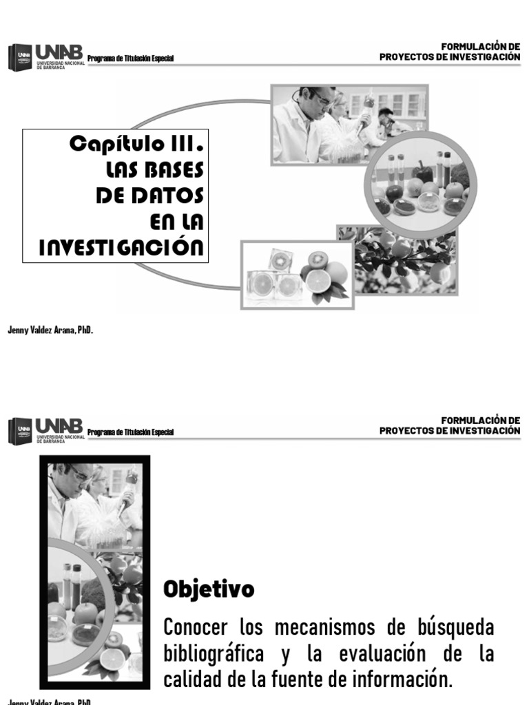 Cap 3. Las Bases de Datos | PDF | Estadísticas | Science