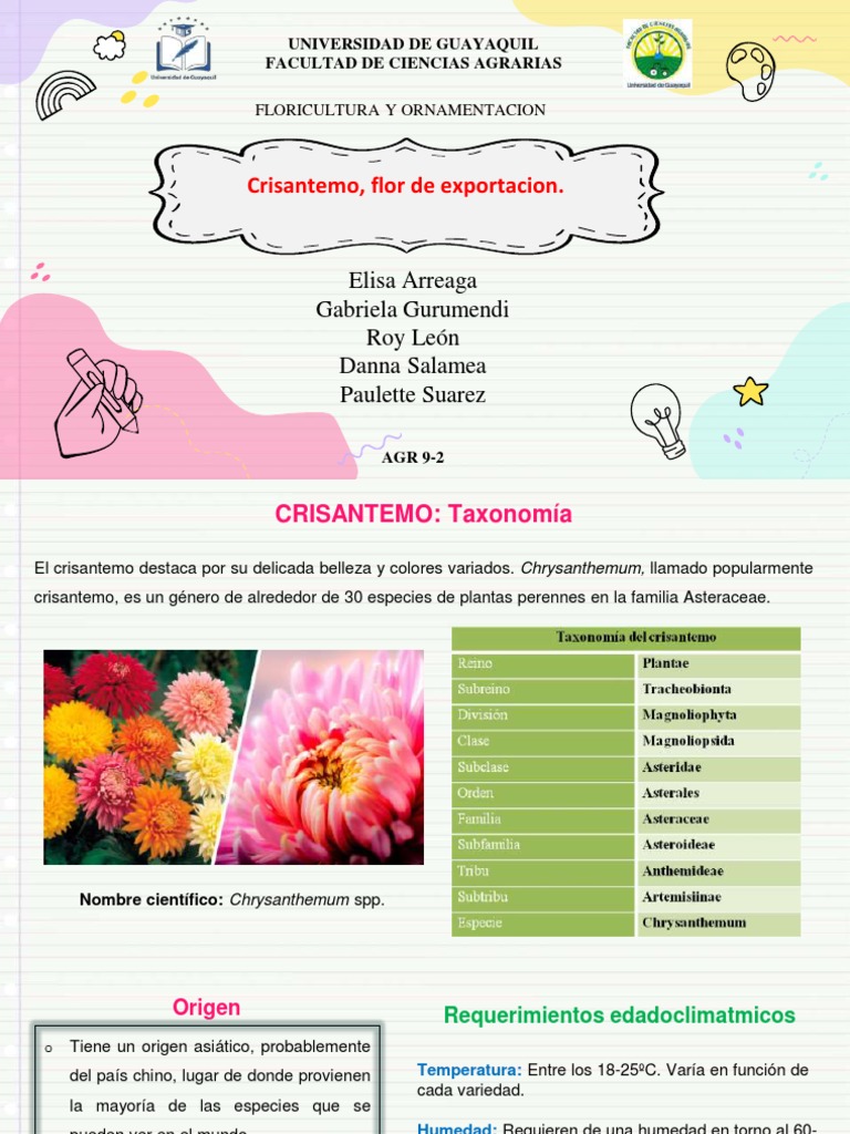 Crisantemos Completo | PDF | Flores | Plantas