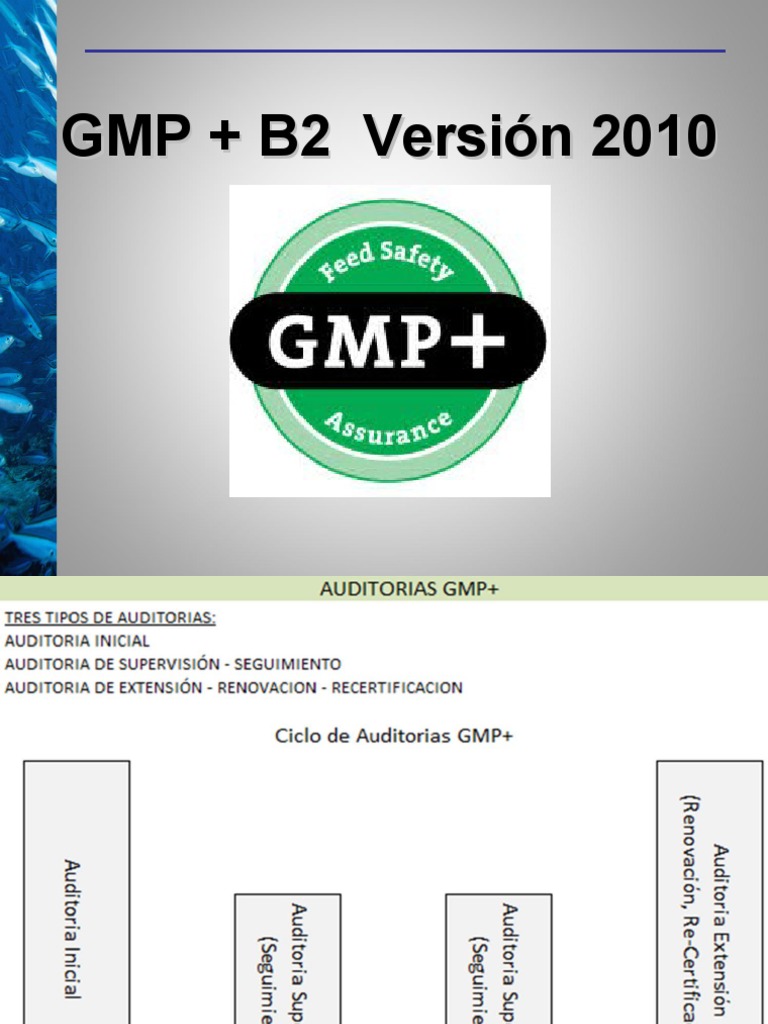 2° Capacitacion GMP+B2 | PDF | Análisis de Riesgo y Puntos Críticos de ...