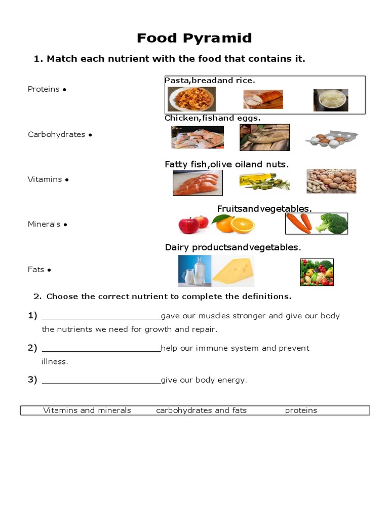Food Pyramid Activity 1 | PDF | Science & Mathematics