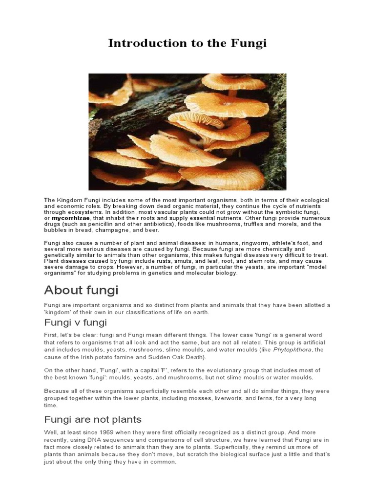 Fungi | PDF | Fungus | Organisms