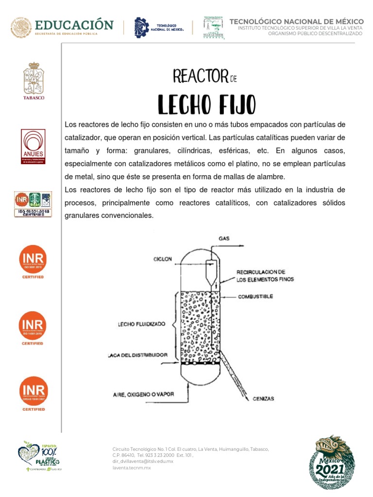 Reactor de Lecho Fijo-Labo - Integral-Gass-6j | PDF