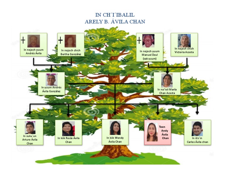 MAYA Árbol Genealógico | PDF